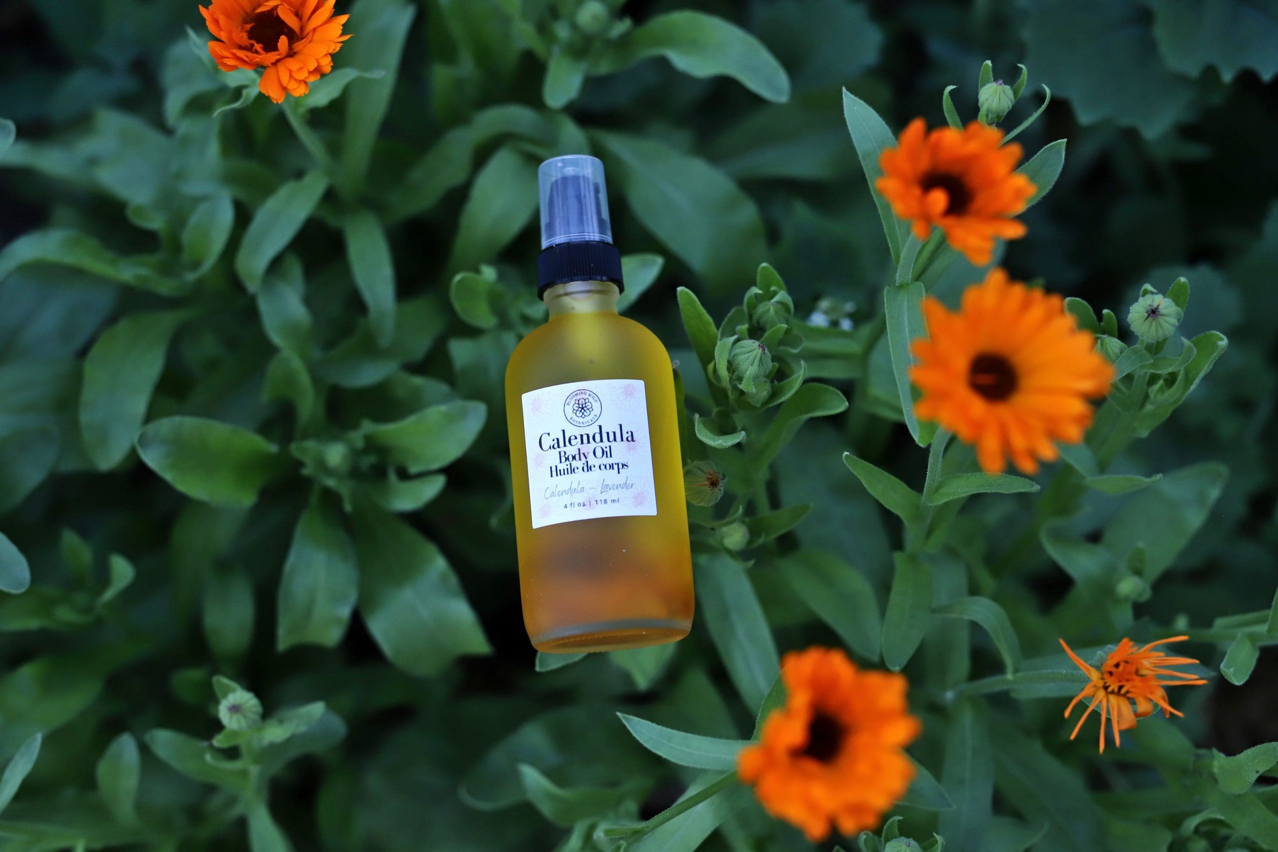 Calendula Body Oil | Craft Alliance Atlantic Association